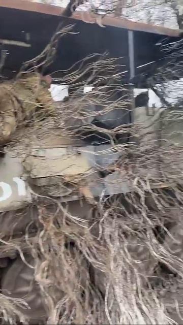 Суровые чумазые мохнатики