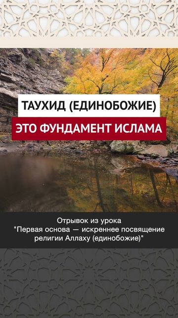 Таухид (Единобожие) – это фундамент Ислама || Динар абу Идрис #религия #вера #сунна