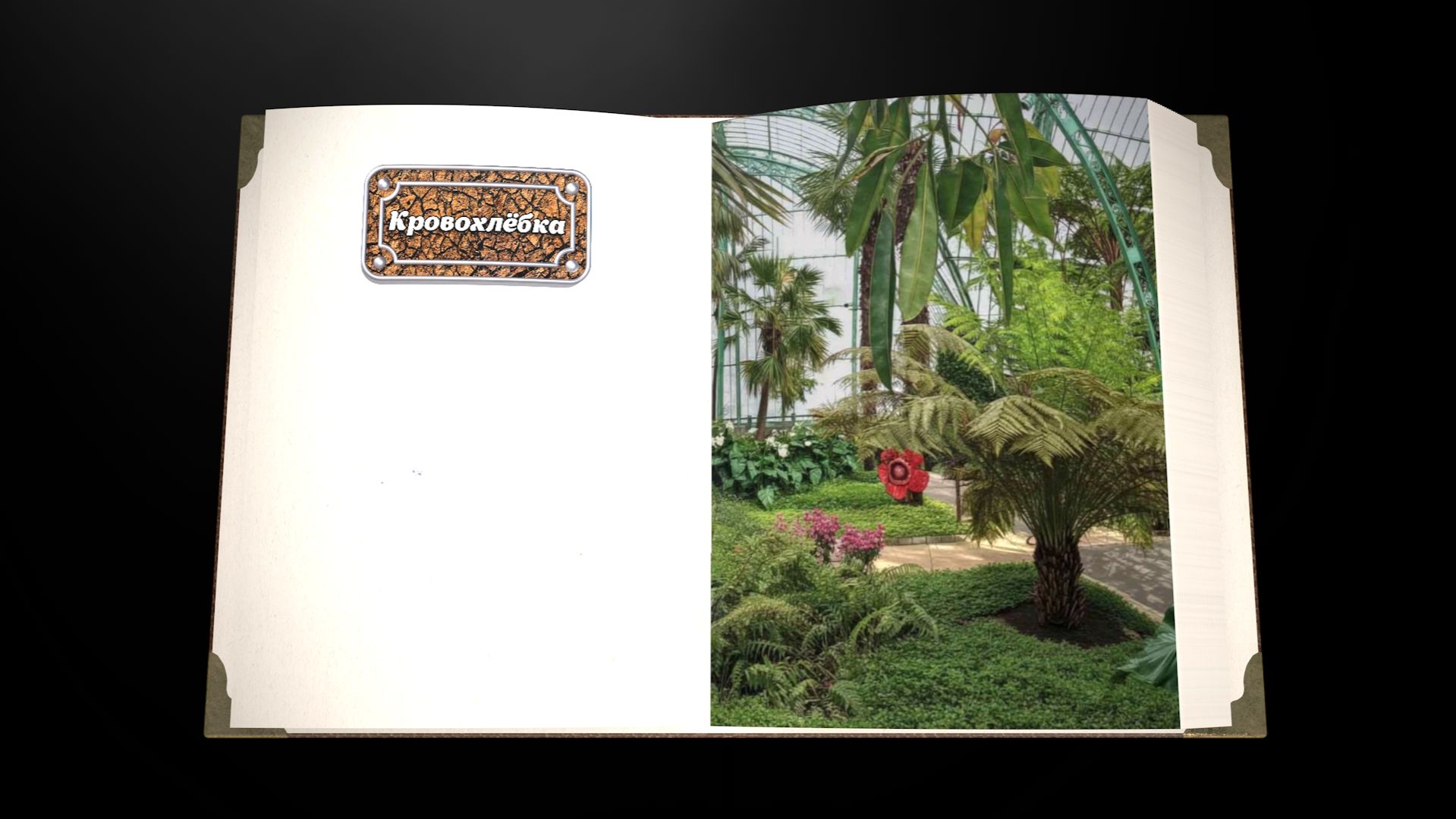 Кровохлёбка (Сборник рассказов. Том 4)