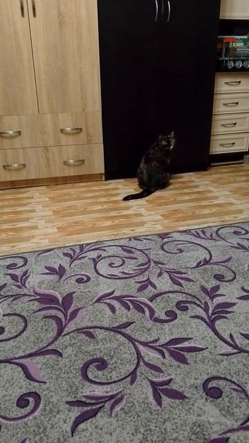 Когда поняла на словах, что нельзя