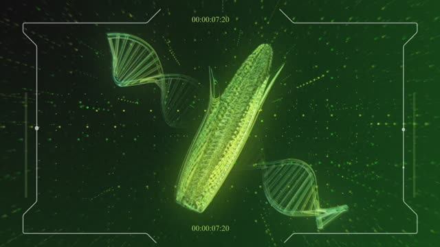 Микроклимат под контролем: распределенные метеосистемы для агрохозяйств | Ceres PRO | РСХБ.цифра
