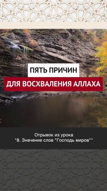 Пять причин для восхваления Аллаха || Ринат абу Ибрахим #религия #истина #Аллах