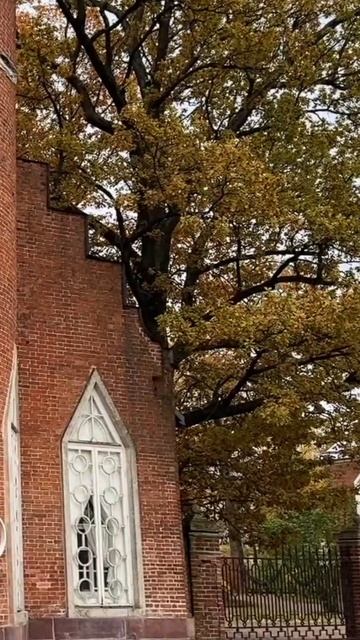 ВСЯ ПРАВДА про город ПУШКИН 2025