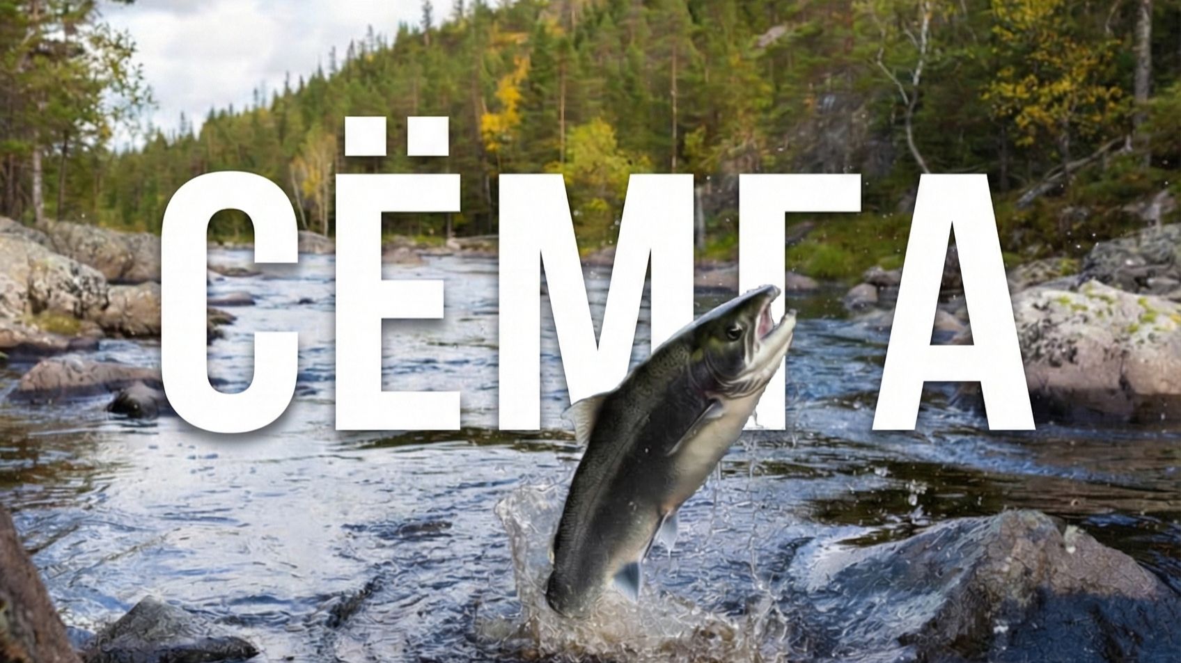 Не верится: как семга берёт водопады Кольского!