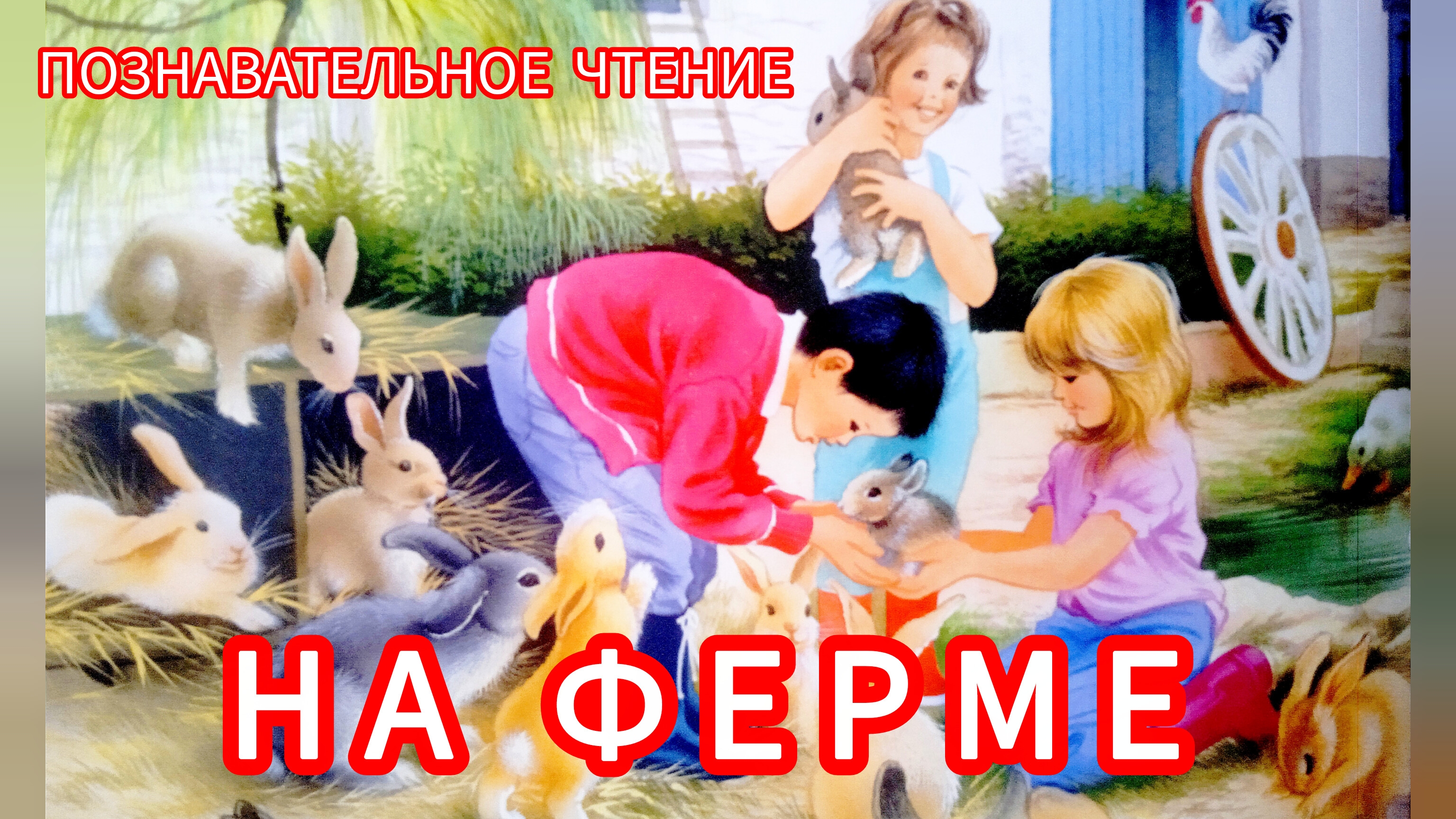 НА ФЕРМЕ🤗👍познавательное видео / для моих маленьких друзей/