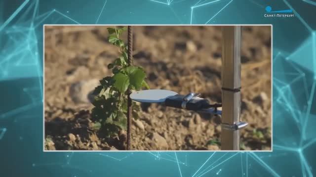 Интервью Александра Волховера в рамках Международной выставки _Агрорусь 2023_