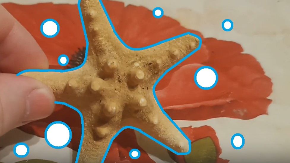 Морская звезда