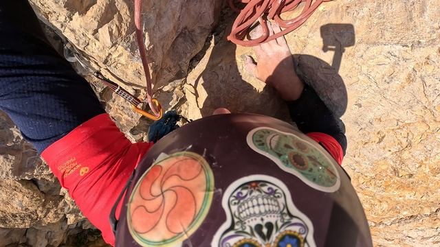 Голубая устрица 6а мультипитч