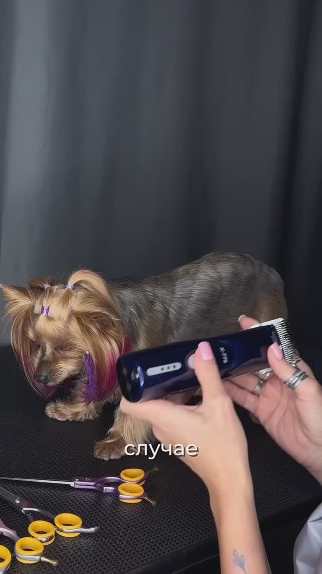 Дарья Воронина: Техника работы машинкой для стрижки