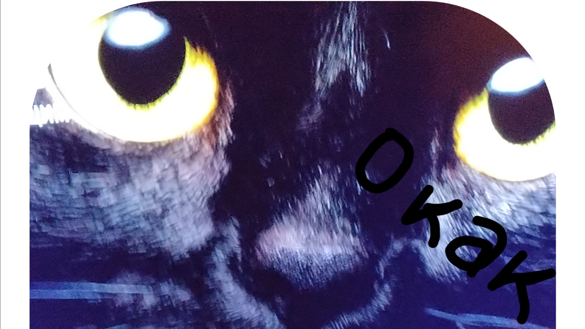 Го тренд брать идею с отметкой