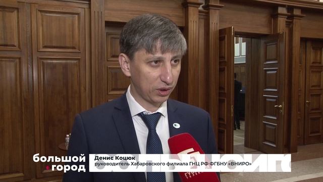 РЫБНЫЙ ГОД. Большой город 28/11/2025