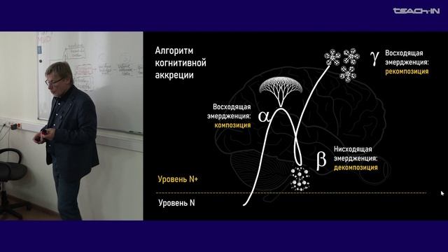 Анохин К.В. - Конференция ИПИМ МГУ - 1. Память, интеллект и сознание у когнитивных существ