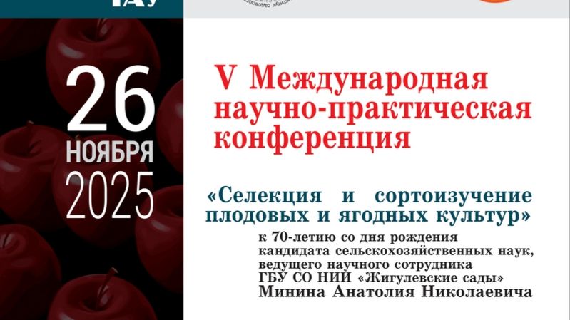 Онлайн 26.11.25 11-48-01 — запись, часть 2