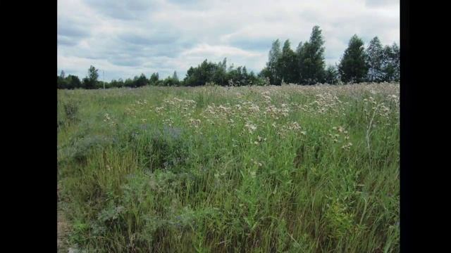 Облака авторская песня стихи исп фото видео Татьяна Талызина муз Виктор Воронцов
