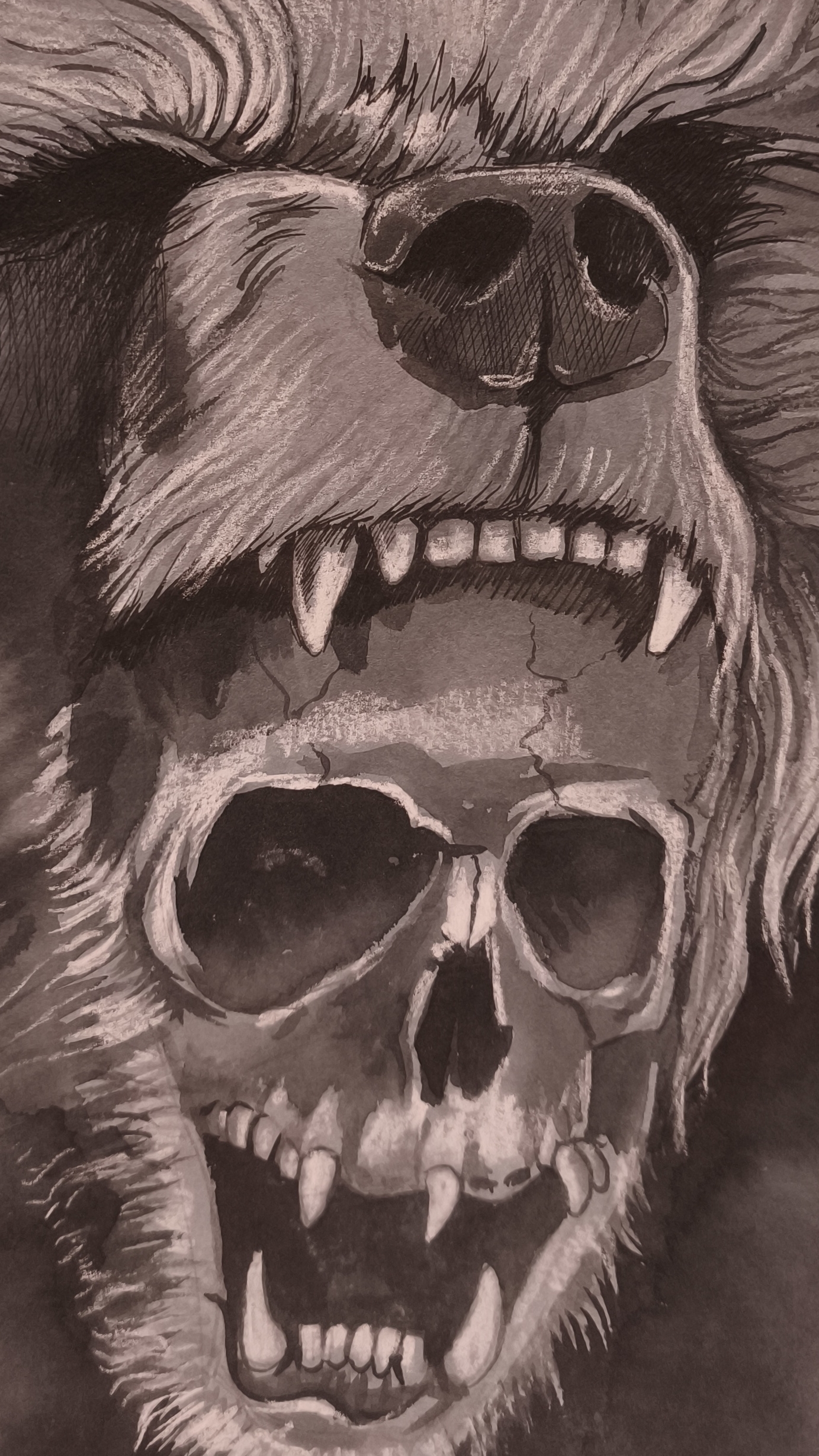 мишка рисунок