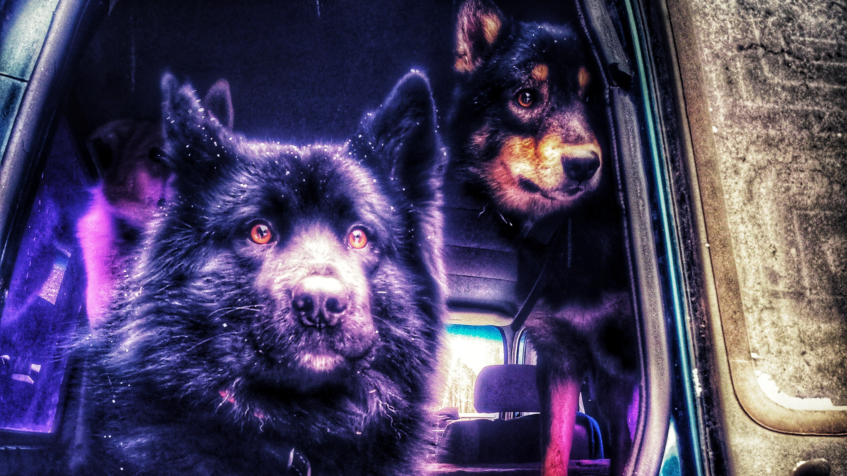 ДПСС 2025. Экзамен для Михи.