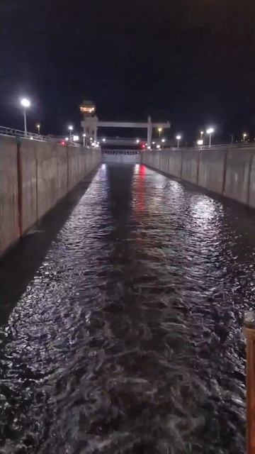 Ночной Психодел под RIGOR MORTIS