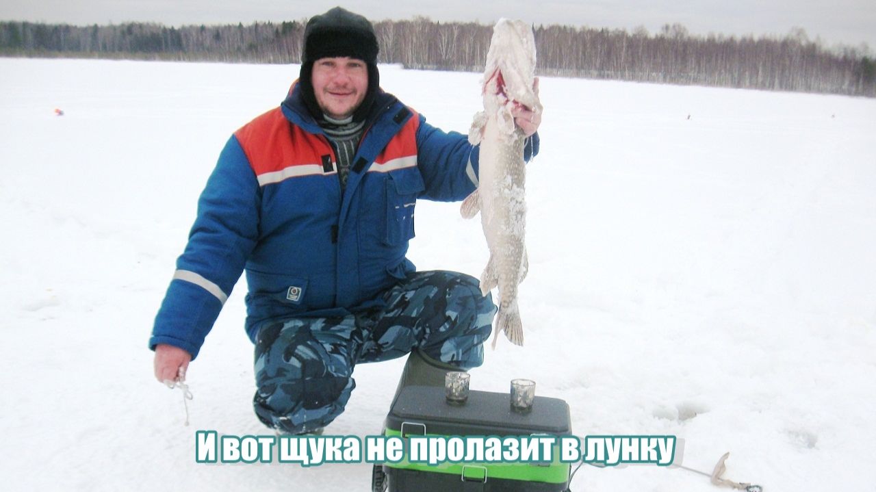 И вот щука не пролазит в лунку