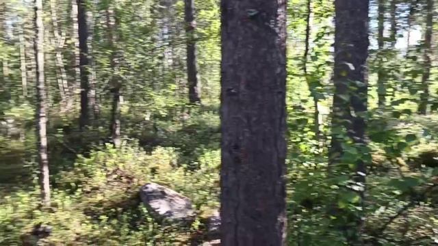 Я перессорилась с дождем