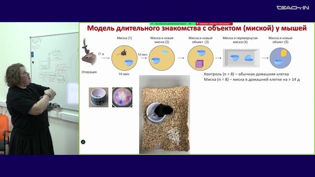 Ивашкина О.И. - Конференция ИПИМ МГУ - 5. В поисках когнитивной специализации нервных клеток