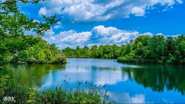 28-11-2025 Фартовый - Любите жизнь сегодня и сейчас (Авт.ролика Виктор)