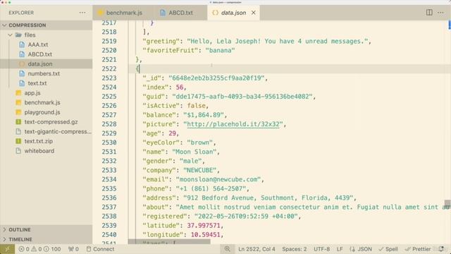 Udemy - Understanding Node.js Core Concepts (2025-8)_18