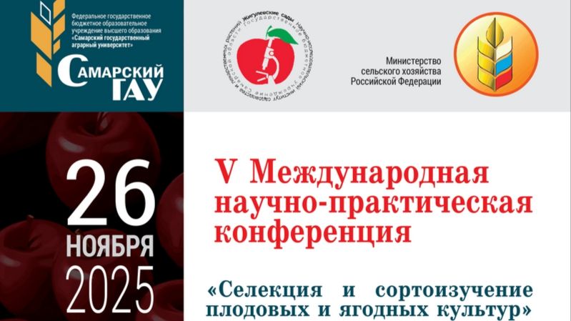 Пленарное заседание. 26.11.2025