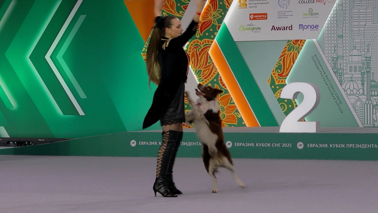 Танцы с собаками на выставке собак Евразия 2025