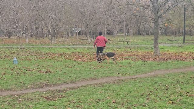 4.  выражено/перв ATSEL HOF MISTIKA (Уран из Белого Яра – Atsel Hof Mishel)