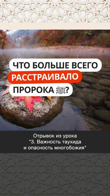 Что больше всего расстраивало Пророка ﷺ? || Динар абу Идрис #иман #религия #вера