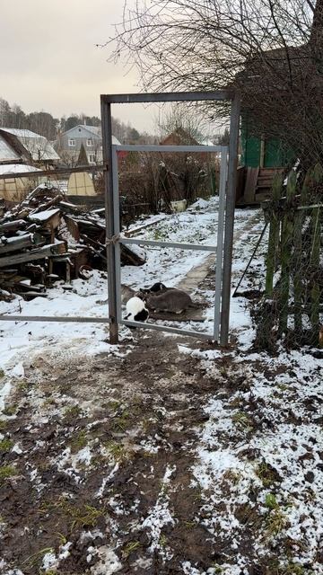 Добрые дела anzl.ru.