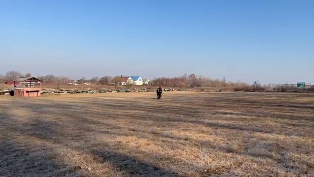 5.  выражено/перв ЖЕРОМ ИЗ СИБИРСКИХ АФИН (Варгас из Белого Яра – Шеда из Сибирских Афин)