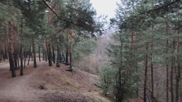 Новости финансов и экономики. Новости, на которые я обратил внимание