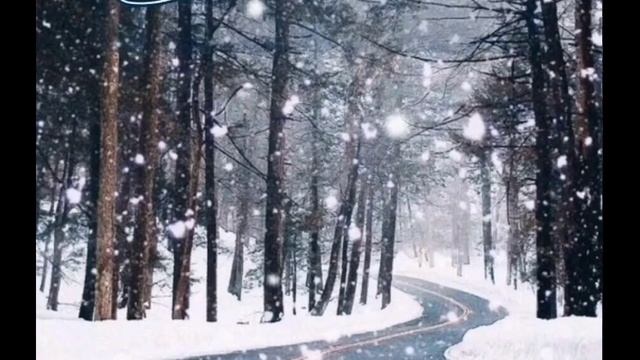 Библиотека имени Беды