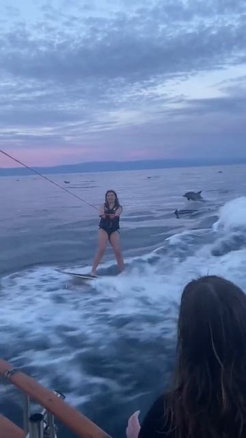 дельфинчики