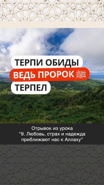 Терпи обеда, ведь Пророк терпел || Ринат абу Ибрахим #религия #истина #вера