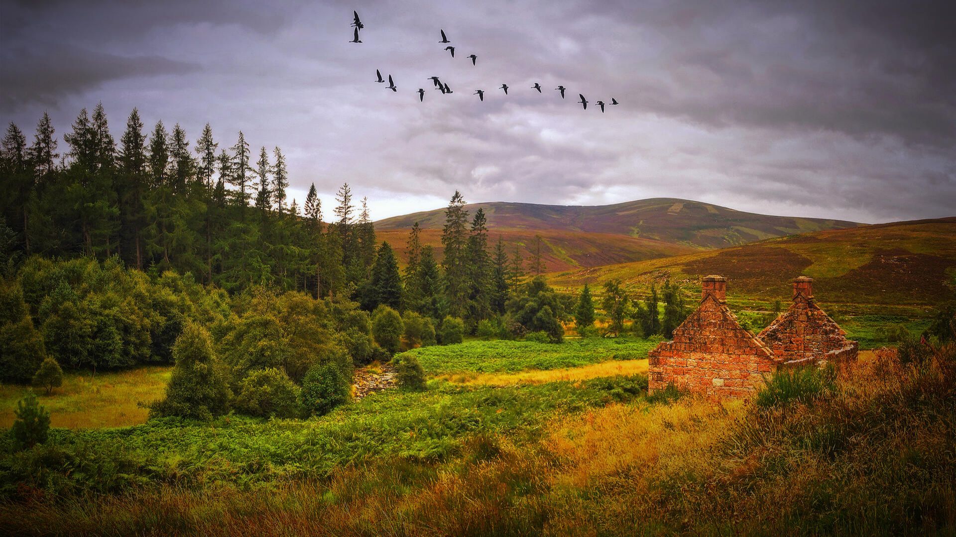 Ёлка — После меня