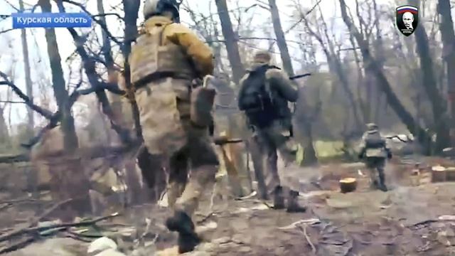 Работа разведчиков бригады "Ветераны" по освобождению Курской области, архив 2024 года