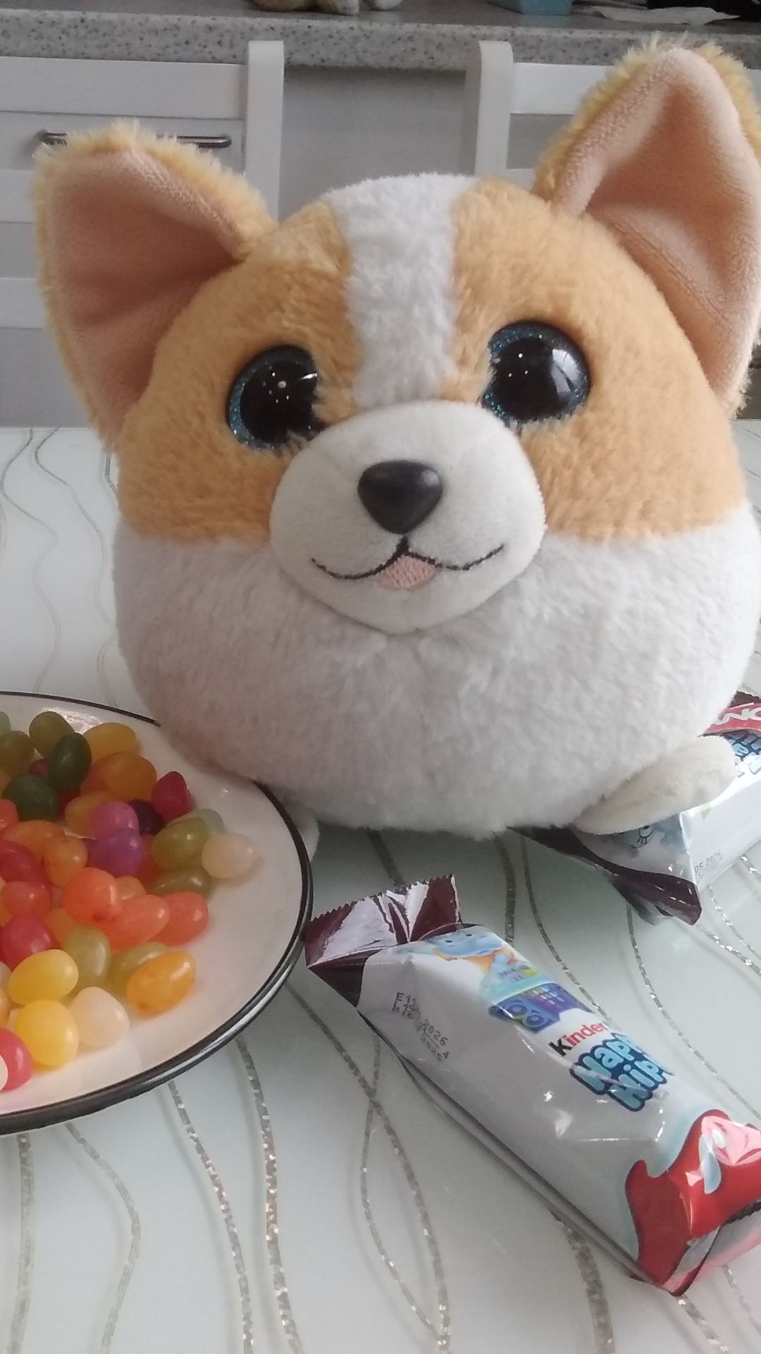 РЫЖИК И СЛАДОСТИ! УЛЁТНАЯ РАСПАКОВКА! 🍭🍬🐶