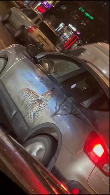 Леопард на авто..