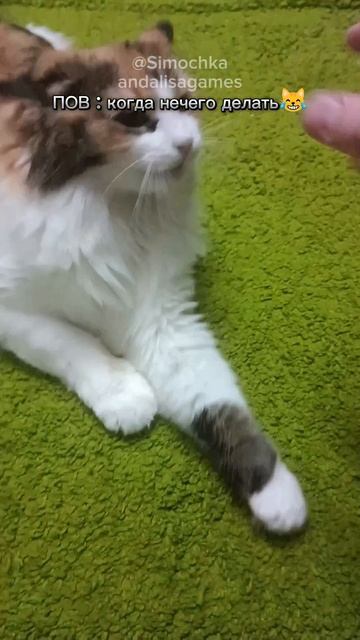 ПОВ : Когда нечего делать😹 | Симка и Алиса Rutube🎮