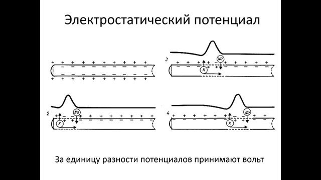 ЭЭГ в нейроИТ Подлепич В.В. 2022