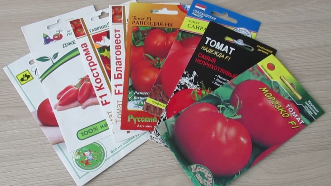 9 урожайных томатов, которые дают урожай корзинками