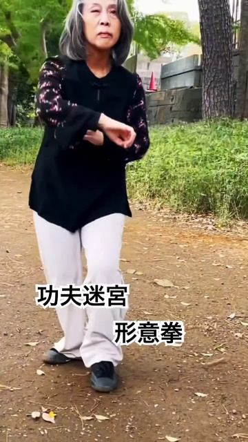 Лабиринты кунг-фу Кунг-фу Мэйкю Стиль Шаньси Синъицюань