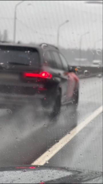 Бэха красно- черная…