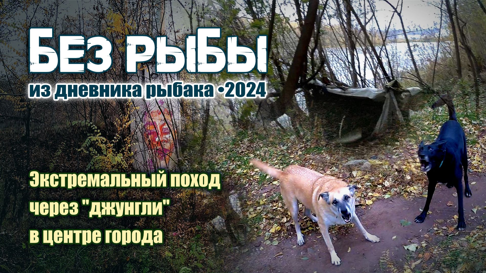 Без рыбы. Экстремальный поход через джунгли в центре города. Из дневника рыбака - 2024.