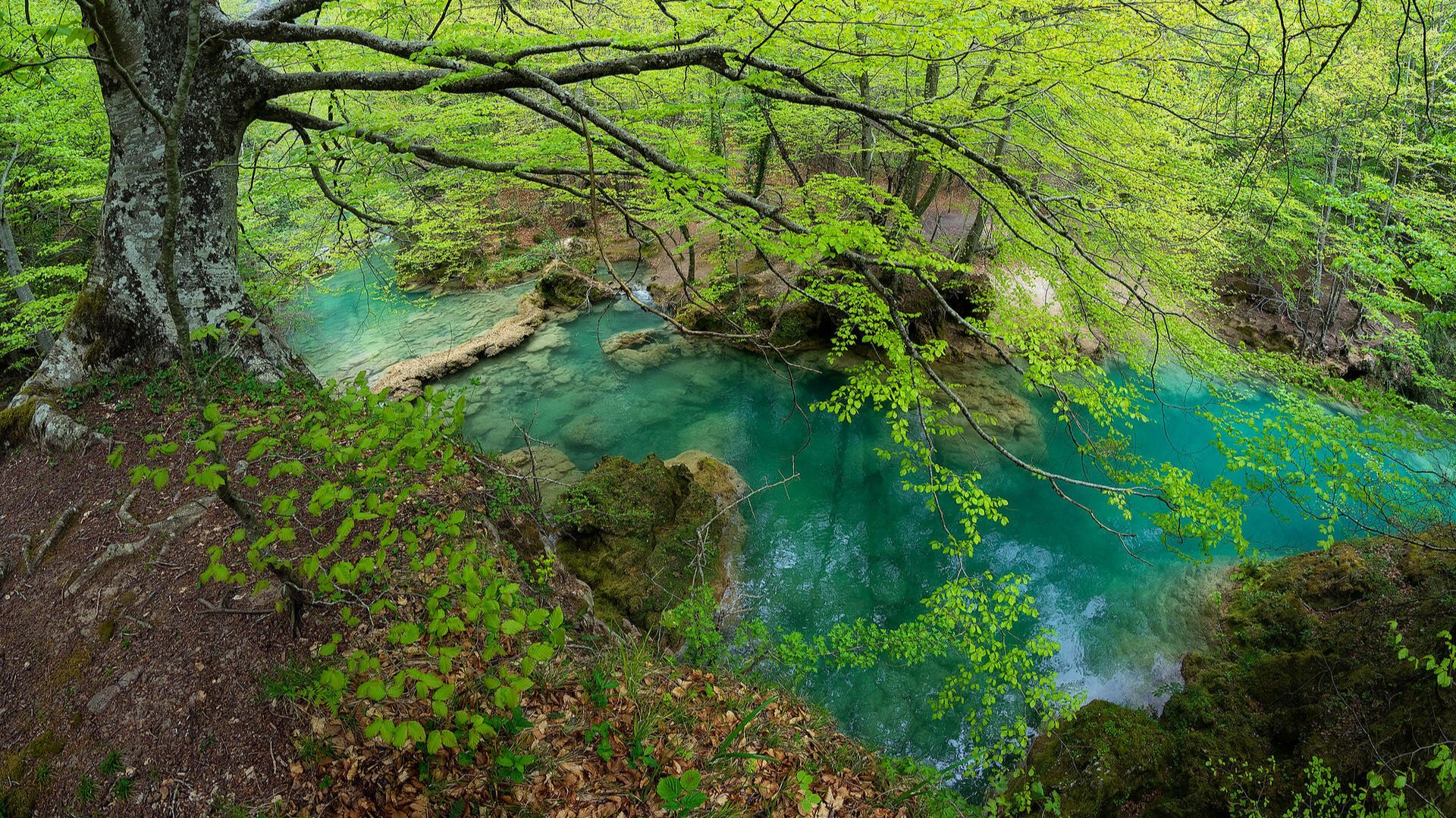 Ёлка — Нечего терять,