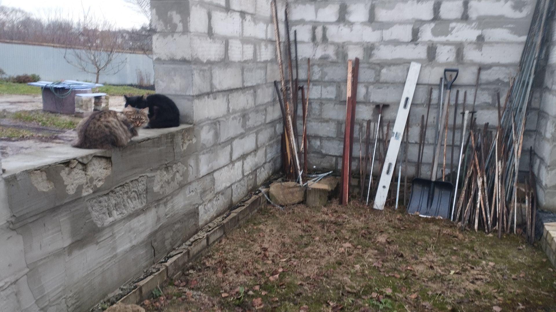 26.11.25г.   Навожу порядок на СТРОЙКЕ!!!