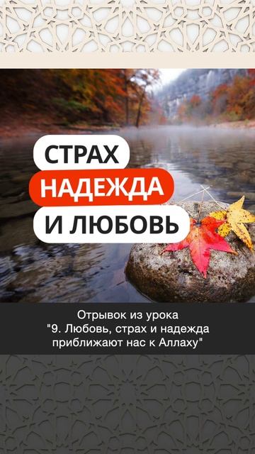 Страх, надежда и любовь || Ринат абу Ибрахим #религия #истина #вера