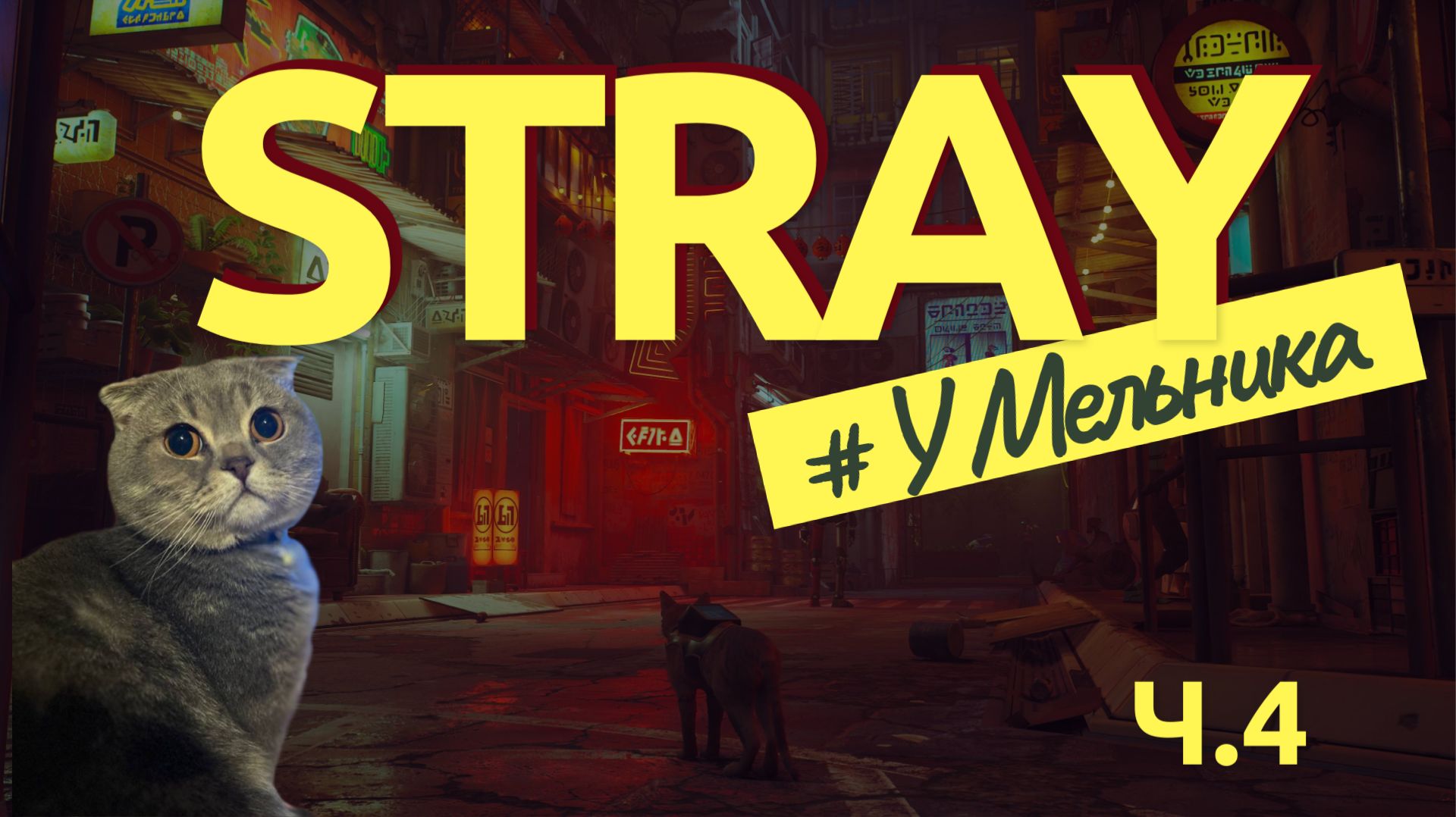 У Мельника | Stray | Котик и программист #4